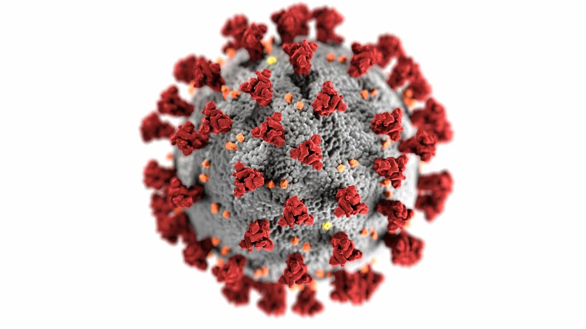 Introducing VH Bio’s Exciting New Virology Portfolio!